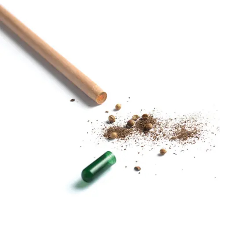 Sprout pencil with seeds | Eco gift - Greengiving.eu