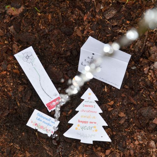 What is seedpaper and how does it work? - Greengiving.eu