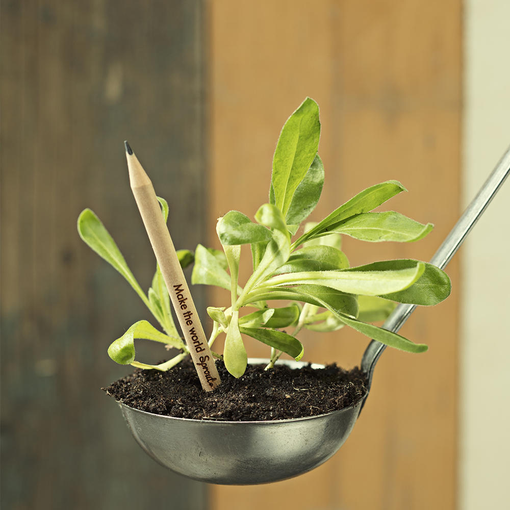 Sprout pencil with seeds | Eco gift - Greengiving.eu